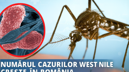 Fiecare zodie are 2 îngeri protectori. Afla cine te protejeaza – Stiri ...